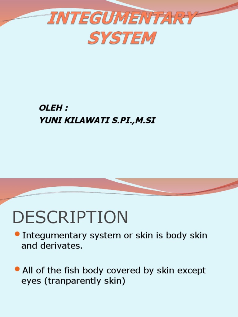4 Sistem-Integumen | PDF