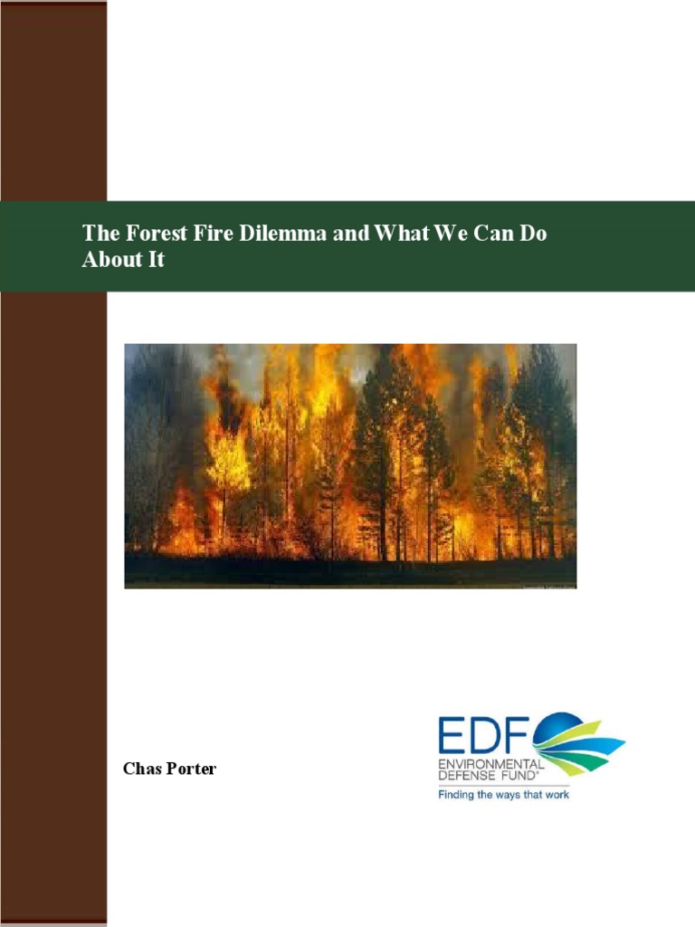 White Paper Final Project | PDF | Finance & Money Management