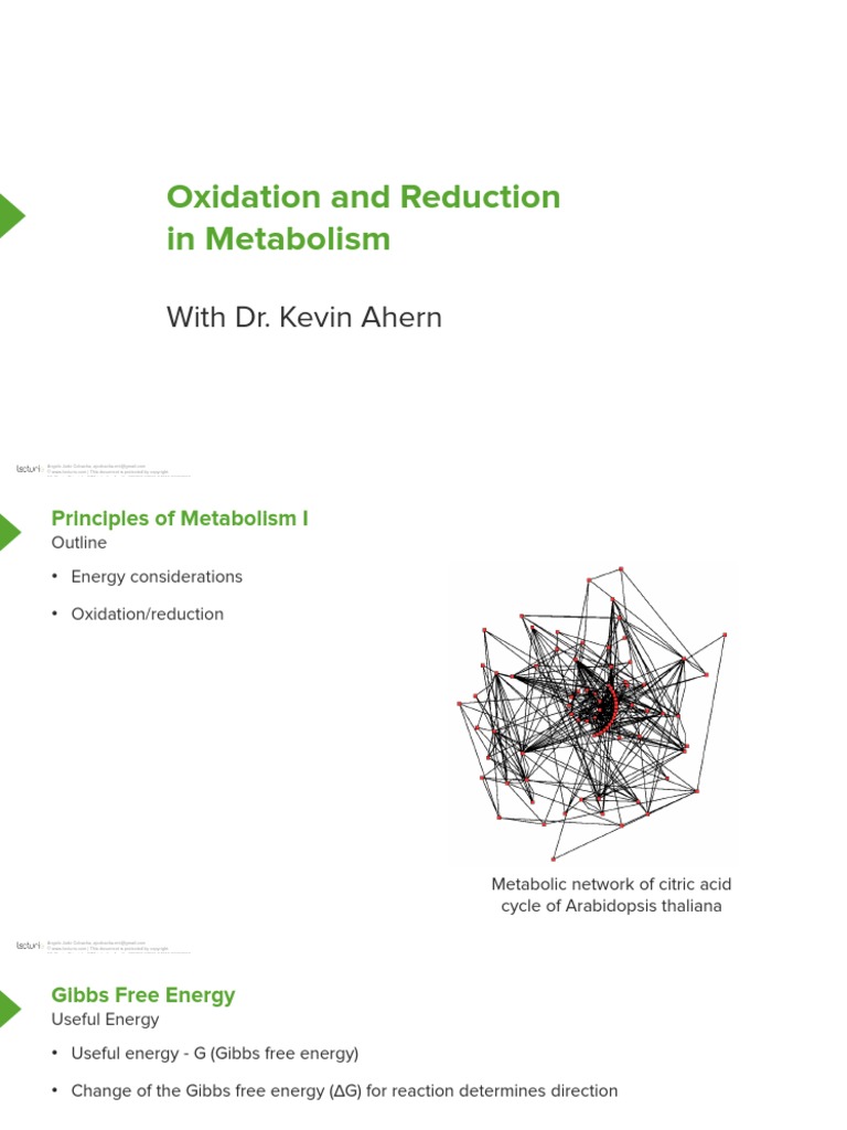 Oxidation and Reduction in Metabolism: With Dr. Kevin Ahern | PDF