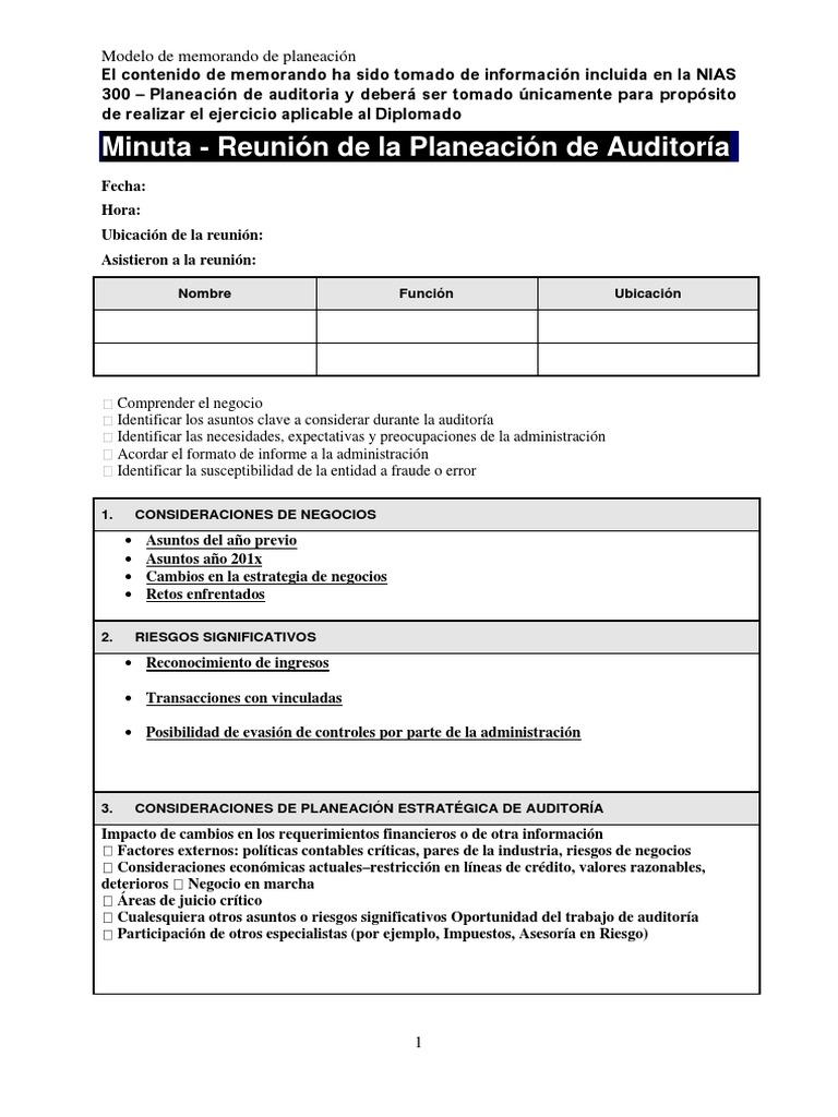 MODELO NIA 300 - Memorando Planeación de Auditoria PDF | PDF ...