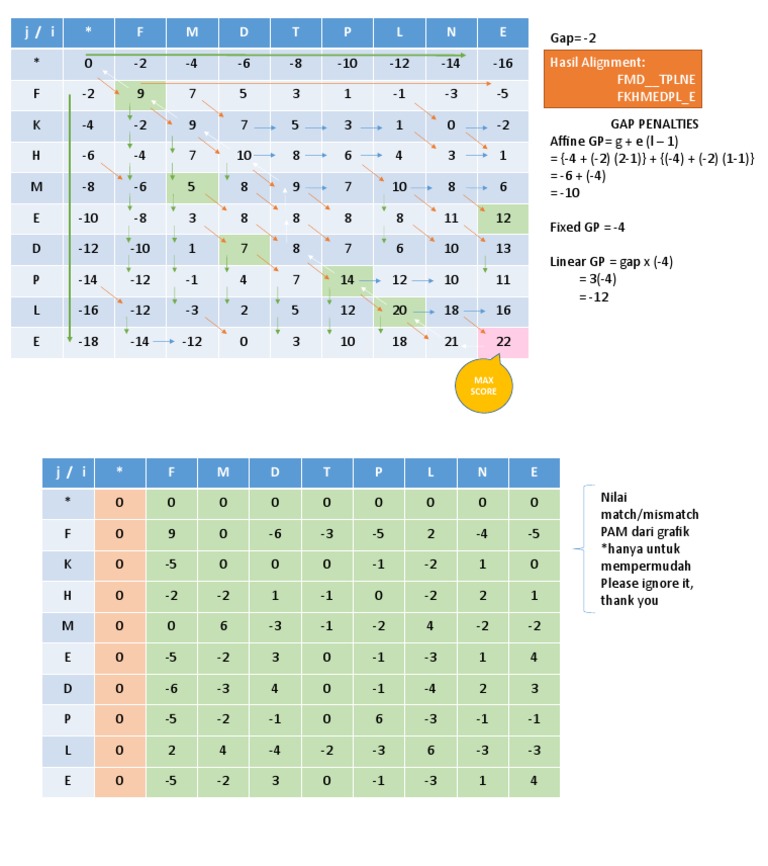 How to do PAM alignment-Biocomputation-INDONESIA