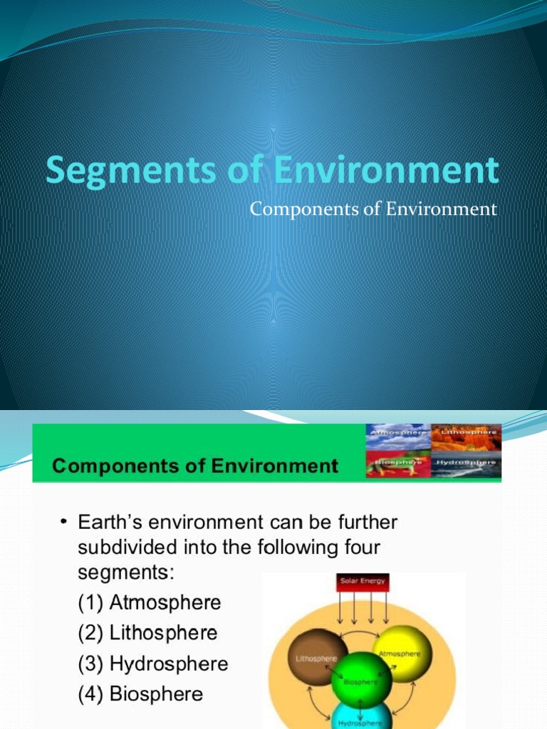 Four Segments of the Environment | PDF | Natural Environment | Earth