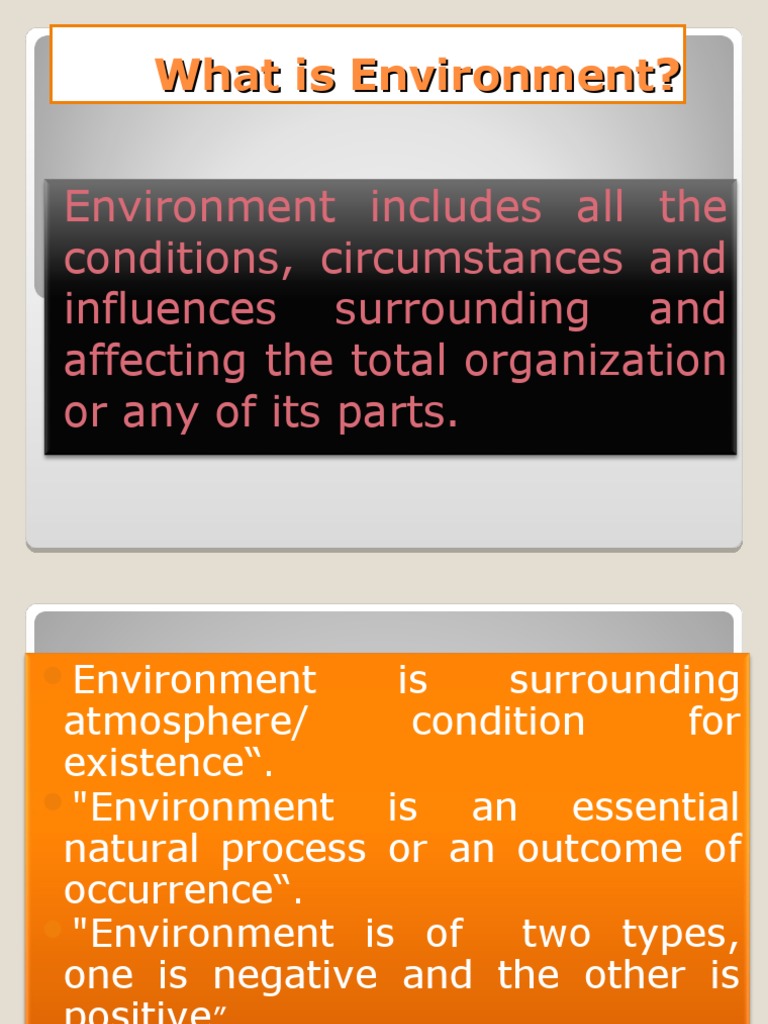 Understanding Our Environment | PDF