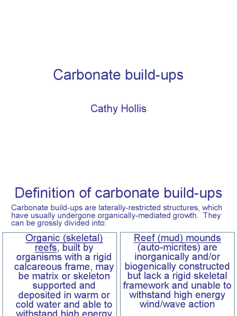 Carbonate Build Up | PDF | Coral Reef | Reef