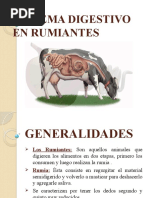 Ciclo de Vida de la Vaca para Niños | PDF | Vacas | Leche