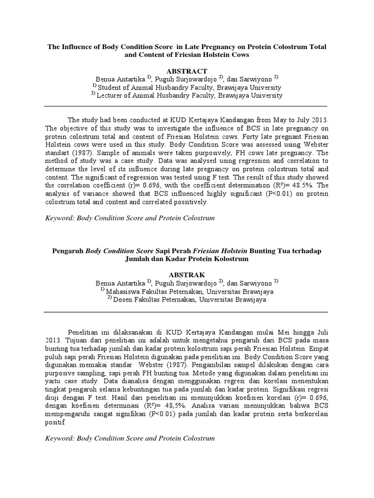 Pengaruh Body Condition Score Sapi Perah Friesian Holstein Bunting Tua ...