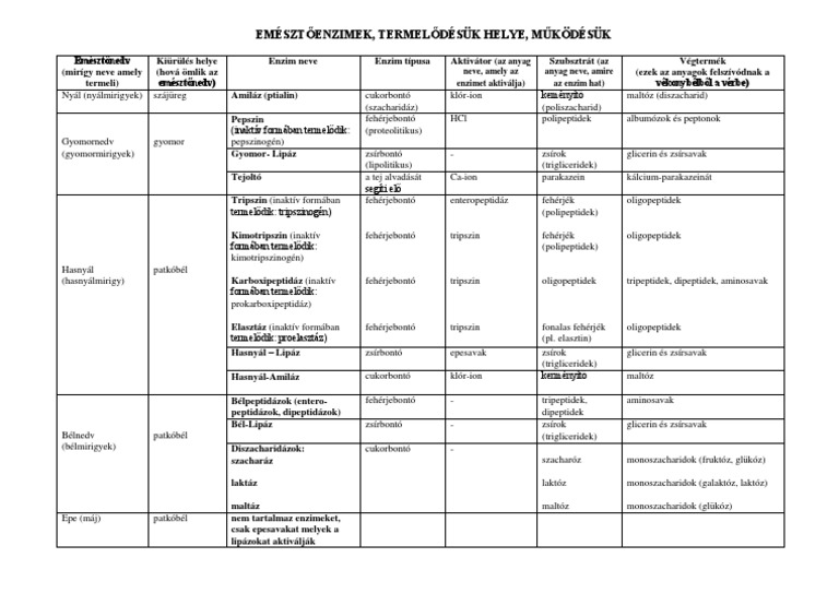 Emésztőenzimek Táblázat PDF | PDF