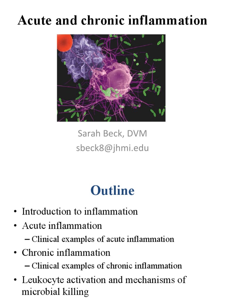 Inflamatia | PDF | Wellness