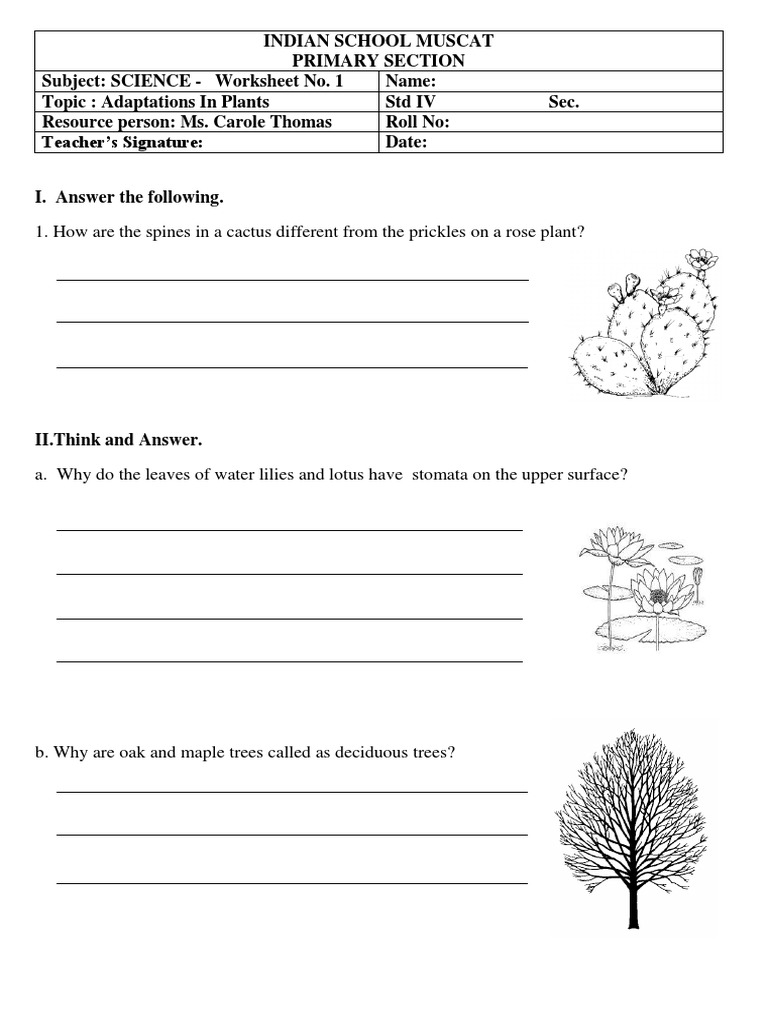 STD 4 Science WS 1 Adaptation in Plants | PDF