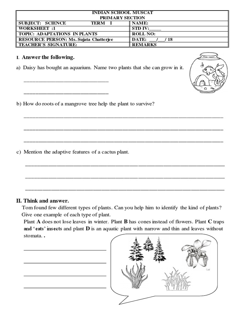 STD IV Science Ws1 Adaptations in Plants 2018 | PDF | Plants | Trees