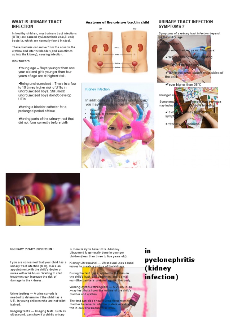 URINARY TRACT INFECTION Poster | PDF