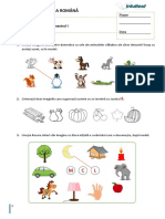 CLR Evaluare Sumativa Modulul I | PDF