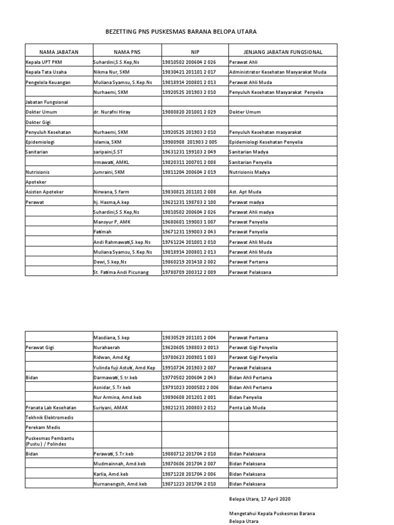 Bezzeting Data Pns 2020 | PDF