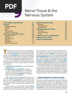 Coordination and Response - IGCSE Biology Notes (2020) | PDF | Synapse ...