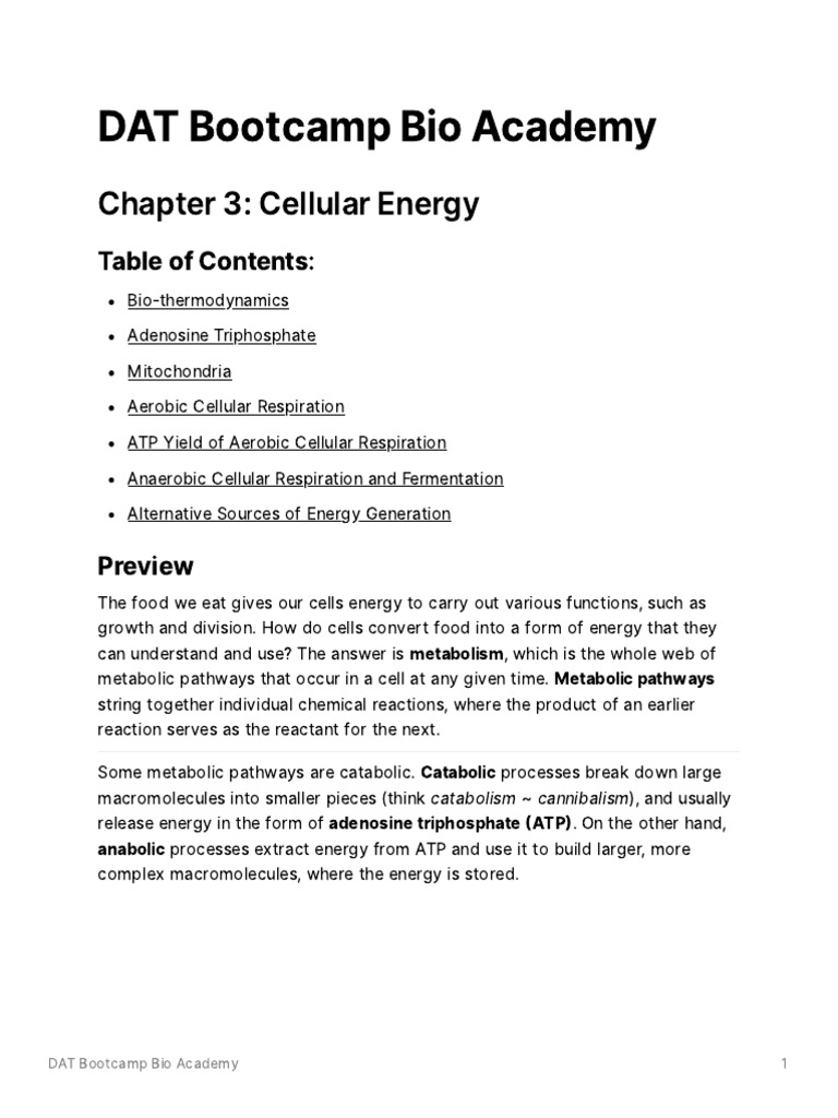 DAT Bootcamp Bio Academy: Chapter 3: Cellular Energy | PDF | Cellular Respiration | Adenosine ...