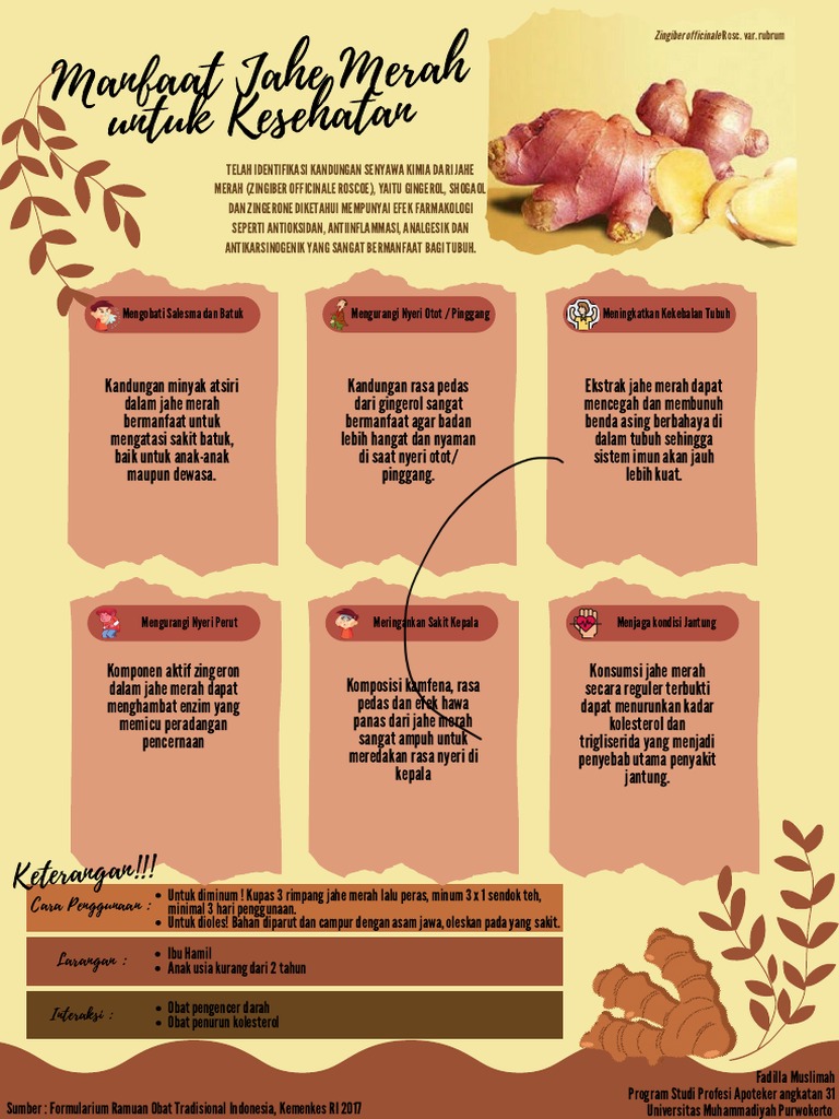 Poster Informasi Jahe Merah | PDF
