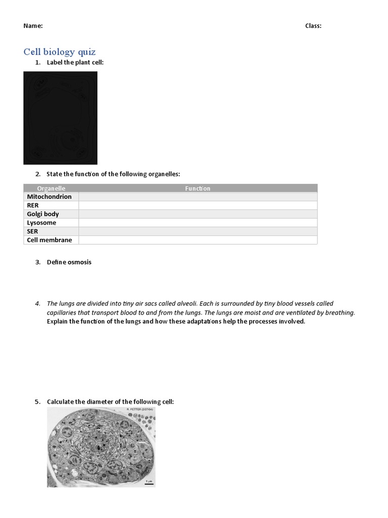 Cell Biology Quiz Questions | PDF