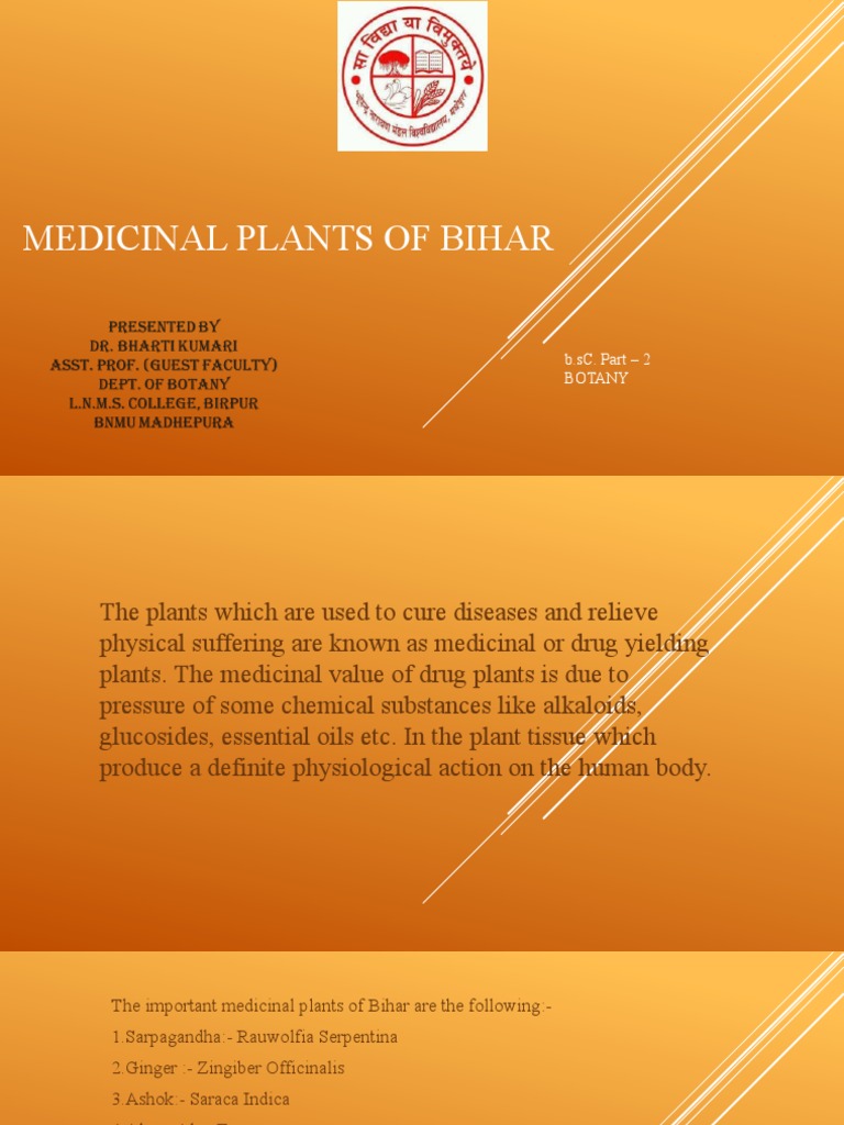 Medicinal Plants of Bihar: 10 Species | PDF