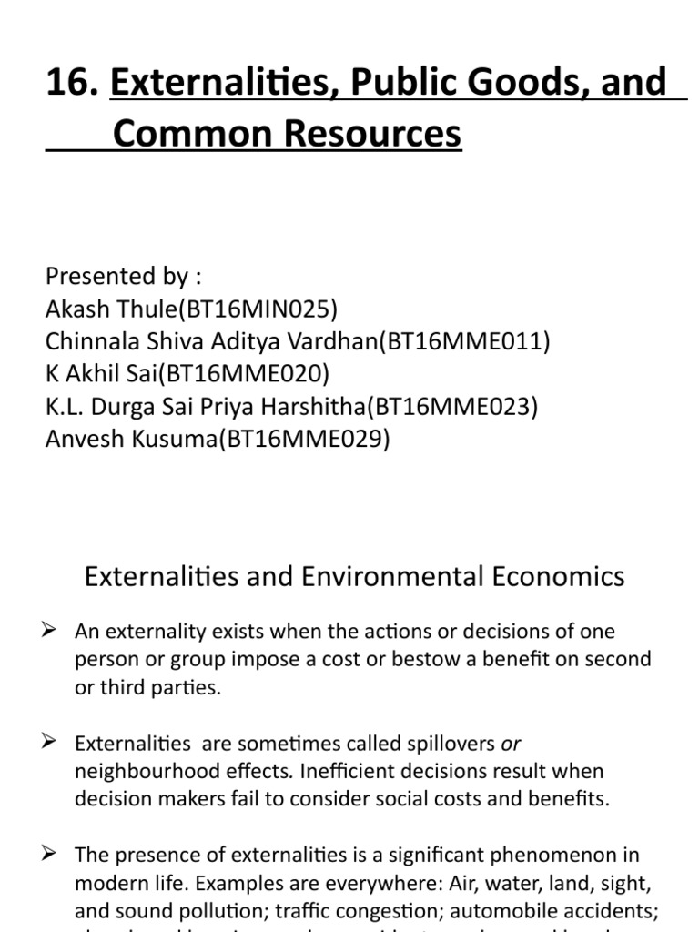 Externalities, Public Goods and Common Resources | PDF | Externality ...