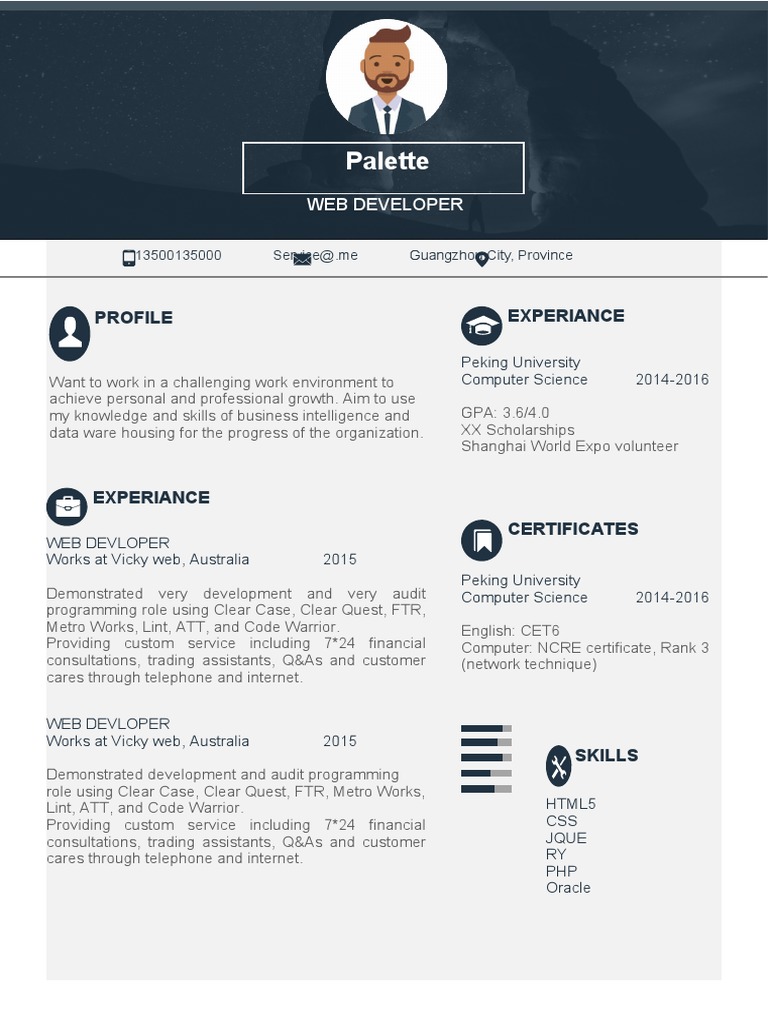 CV 5 | PDF