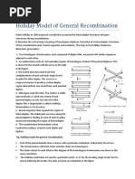 Holliday Model of Homologous Recombination | PDF | Dna | Base Pair