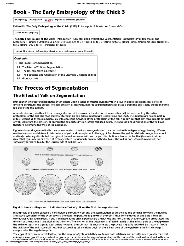 Book - The Early Embryology of The Chick 3 - Embryology | PDF | Yolk ...