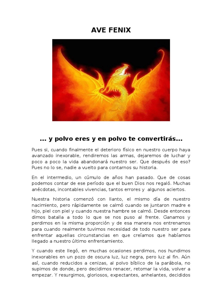 Ave Fenix | PDF