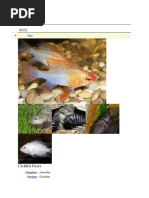 Build-A-Borz (Practical Scrap Metal Small Arms Vol.9) PDF | PDF | Screw ...