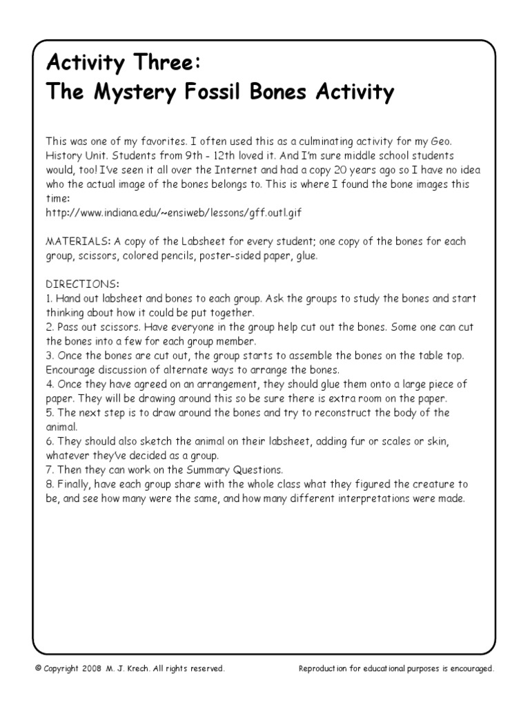 Mystery Bones Activity | PDF | Birds | Nature