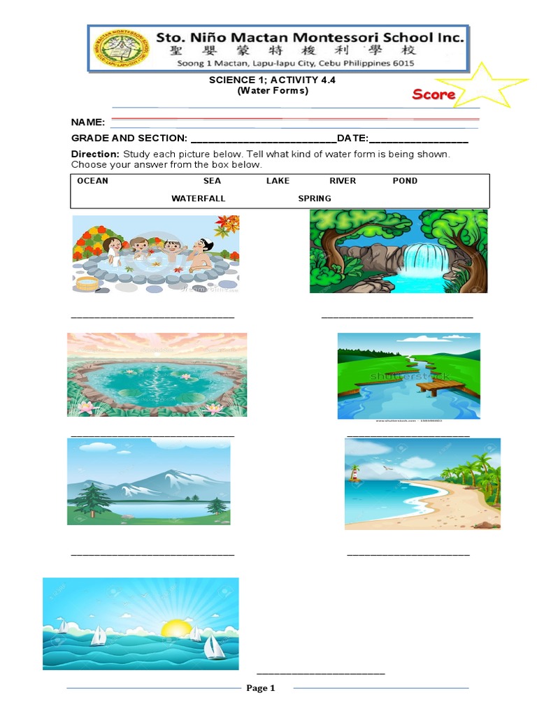 Science 1 Activity 4.4 (Water Forms) : Choose Your Answer From The Box ...