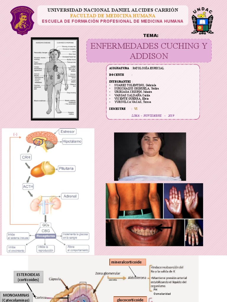 Cushing y Addison | PDF | Hormona adrenocorticotrópica | Glucocorticoides