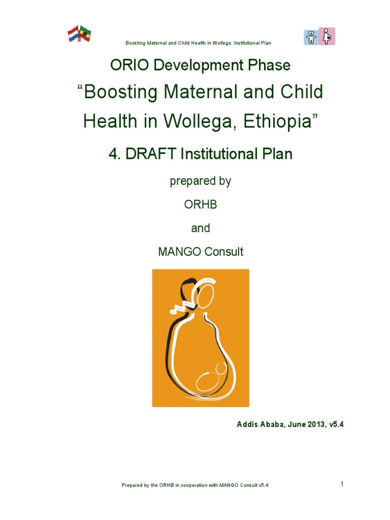 4 Institutional Plan v5.4 | PDF | Project Management | Ethiopia