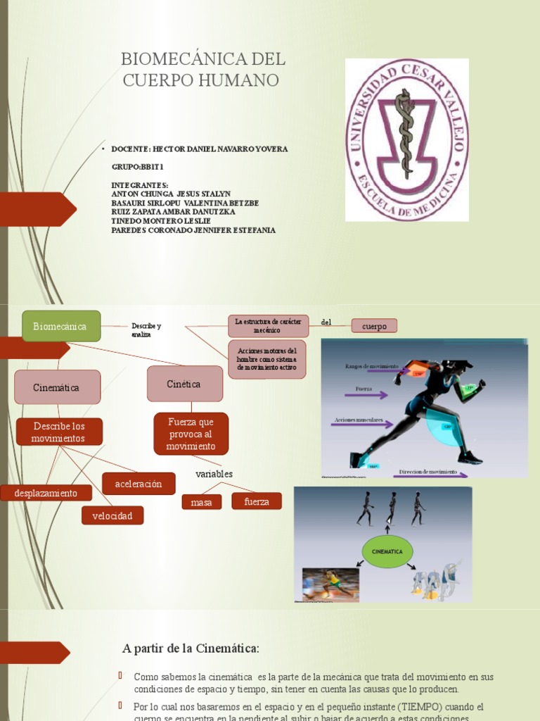 Biomecanica Del Cuerpo Humano | PDF | Dinámica (Mecánica) | Hipoxia ...