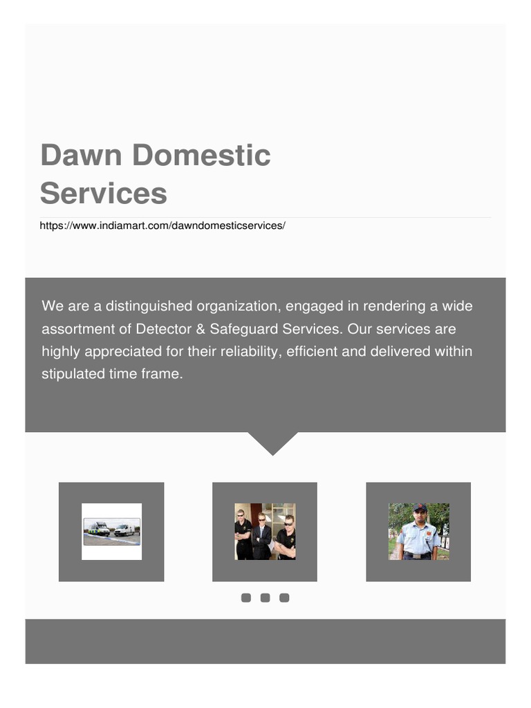 Providing Security and Detector Services Since 1980: An Overview of ...