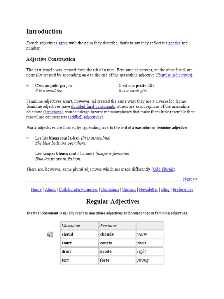 French Adjective Gender Agreement | PDF | Grammatical Gender | Adjective