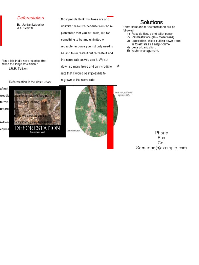 Solutions to Deforestation Issues | PDF