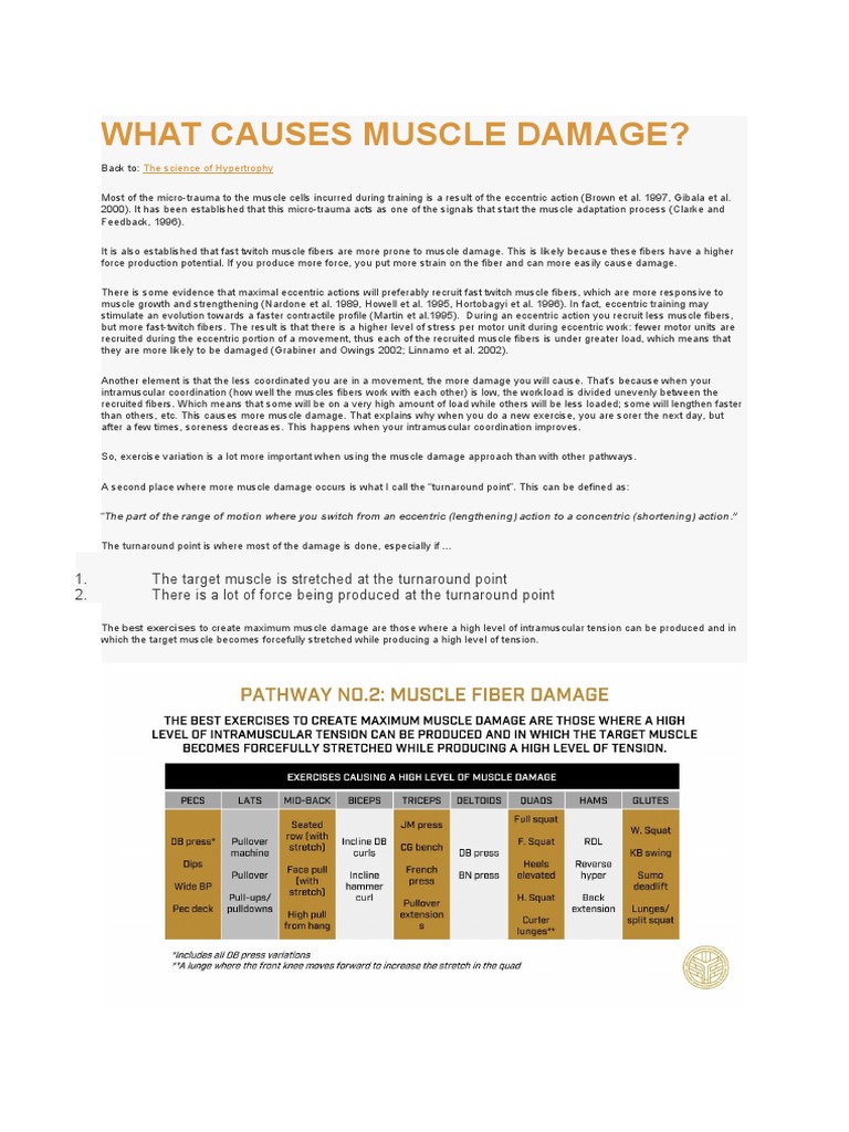 What Causes Muscle Damage | PDF | Muscle | Myocyte