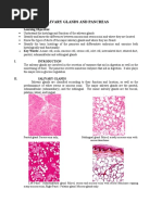 Functions and Composition of Succus Entericus | PDF | Digestive System ...