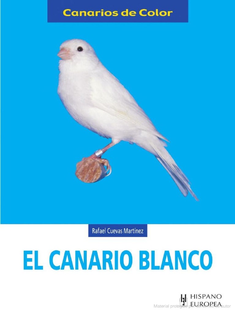 El Canario Blanco - Canarios de Color | PDF