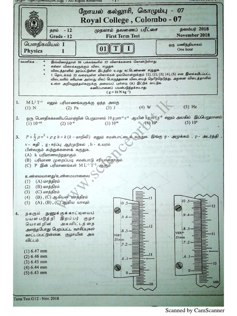 Royal 1st Term 2020 Batch | PDF
