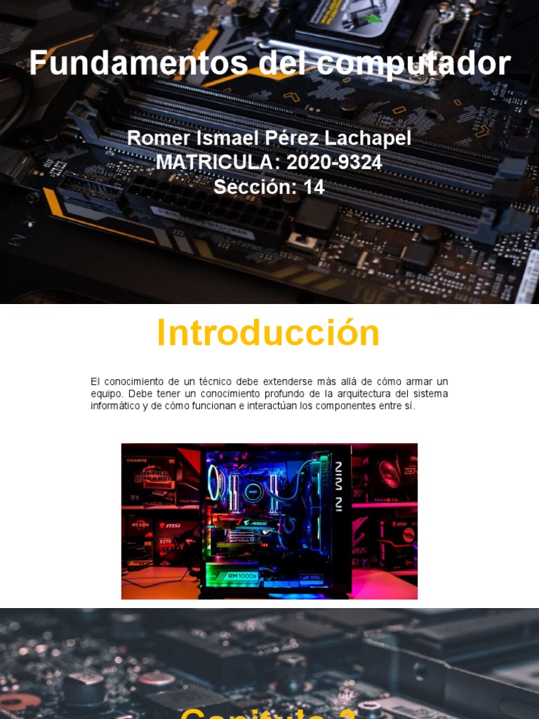 Capitulo 3 Resumen Romer | PDF | Bios | USB
