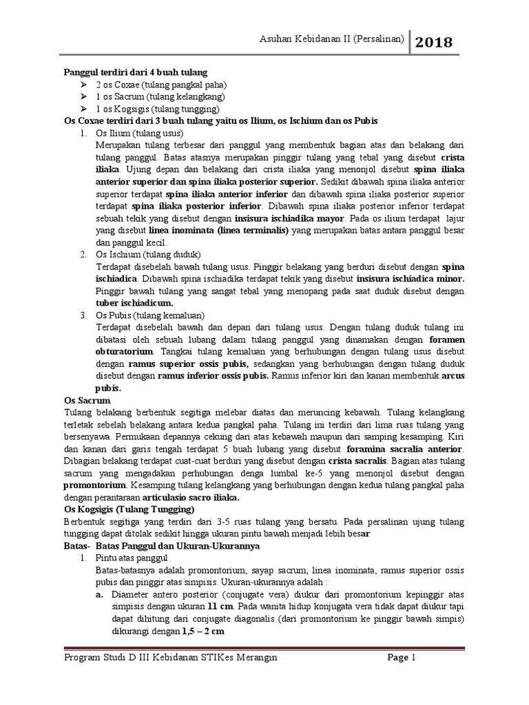 Struktur dan Ukuran Panggul dalam Persalinan | PDF | Sains & Matematika