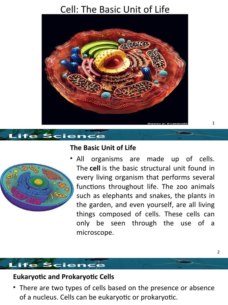 II.a. Cell The Basic Unit of Life | PDF | Endoplasmic Reticulum | Cell ...