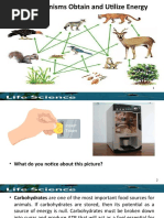 Quipper 1 - Earth and Life Science - Cell | PDF | Endoplasmic Reticulum ...