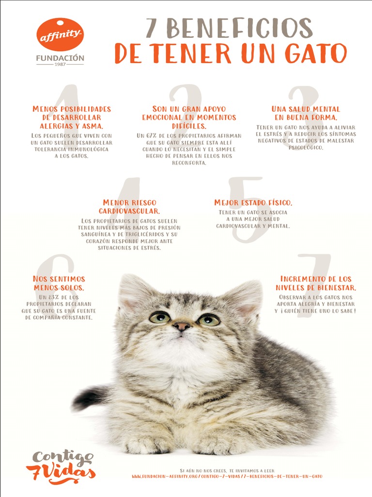 7 Beneficios de Tener un Gato | PDF | Gatos | Estrés (biología)