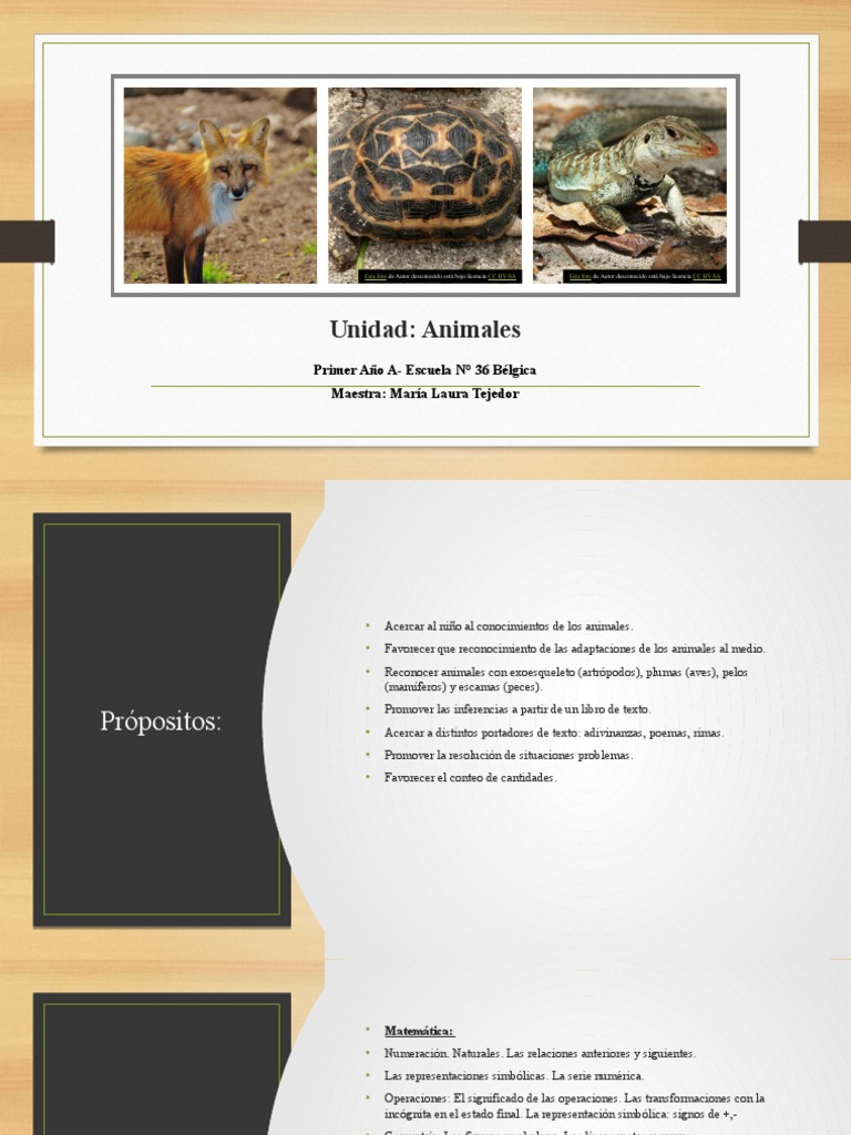 Unidad Animales | PDF | Escritura | Science