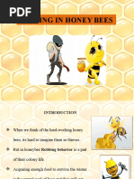Project Report On Honey Bees Keeping | PDF | Beekeeping | Honey Bee