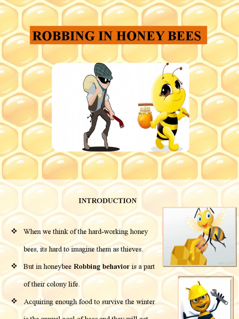 Robbing in Honey Bees | PDF | Honey Bee | Beehive