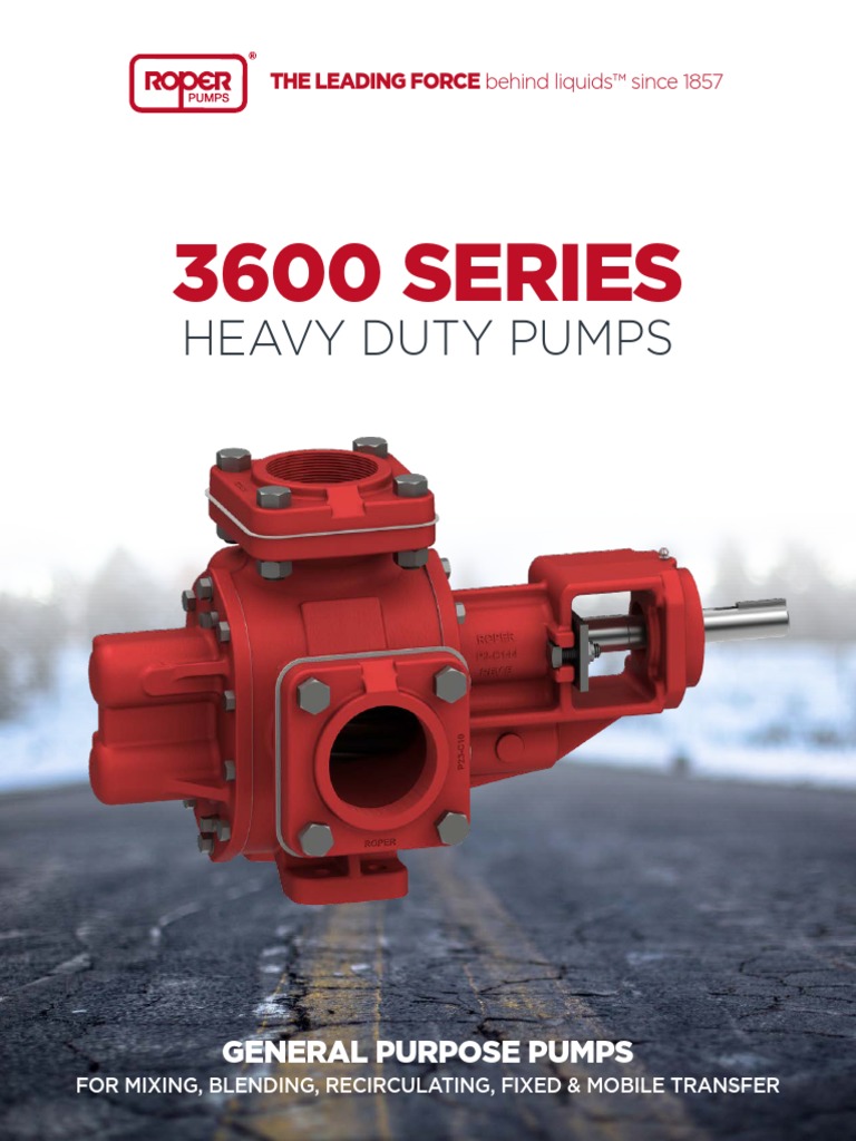 3600 SERIES: Heavy Duty Pumps | PDF | Bearing (Mechanical) | Pump