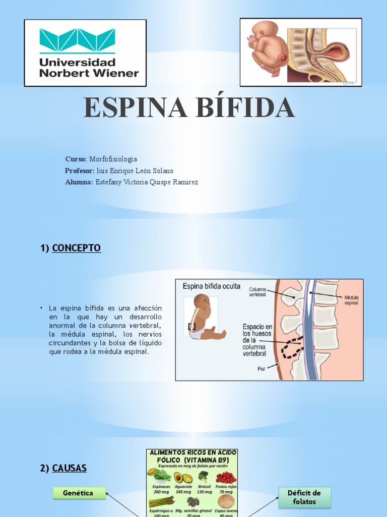 Espina Bifida | PDF | Especialidades Medicas | Enfermedades y trastornos